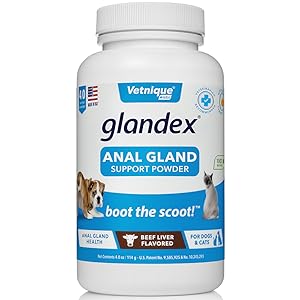 Glandex Dog & Cat Anal Gland Fiber Supplement Powder with Pumpkin & Digestive Enzymes – Vet ...