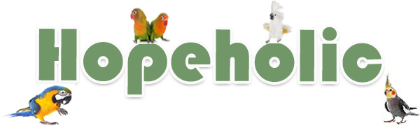 Amazon | 【改良モデル】Hopeholic 鳥 キャリー 移動用ケージ 手提げ/肩掛け インコ 文鳥 手乗り キャリー リュック 止まり木付き 餌入れ 鳥 バード ケージ キャリー ...