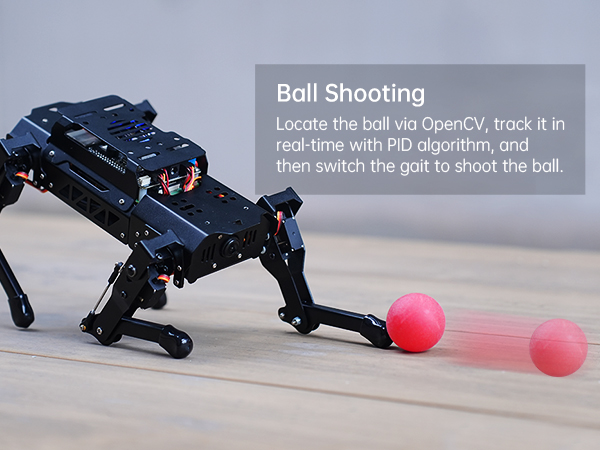 Mua Hiwonder Quadruped Robot Bionic Robot Dog with TOF Lidar SLAM ...