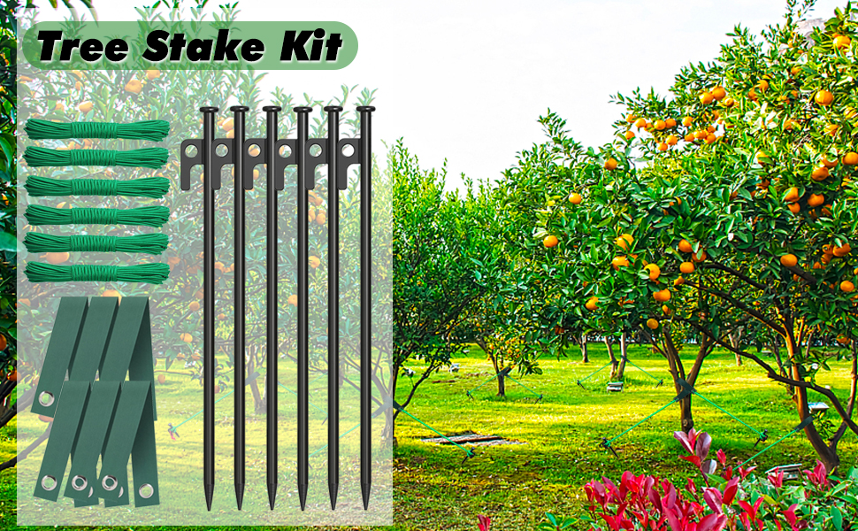 Amazon.com : Tree Stakes and Supports for Leaning Trees/Young Tree ...