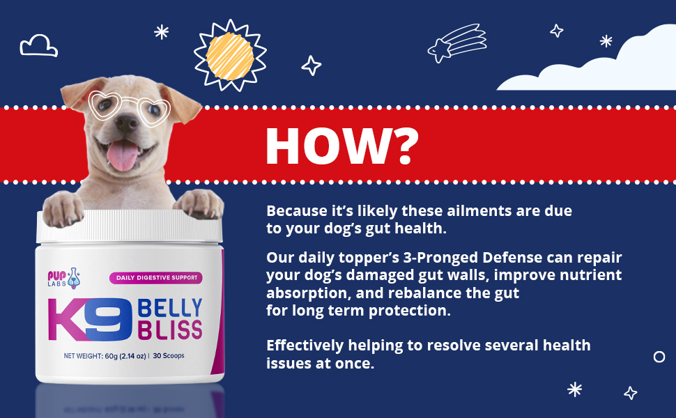 Amazon.com : Pup Labs K9 Belly Bliss, All-Natural Gut Health for Dogs, Vet Approved Prebiotic ...