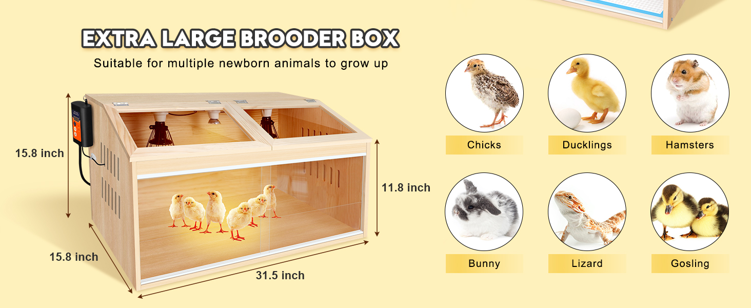 Amazon.com: Large Chicken Brooder Box for Chick, Extra Wide Wooden Brooder Box 31.5" with ...