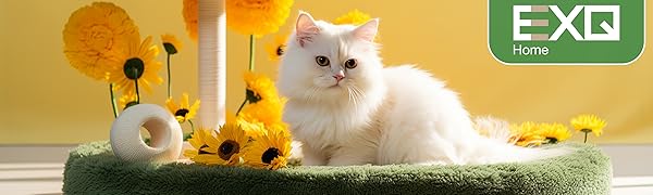 Amazon.com : EXQ Home Cat Scratching Post, Natural Sisal Scratchers Trees for Indoor Cats ...