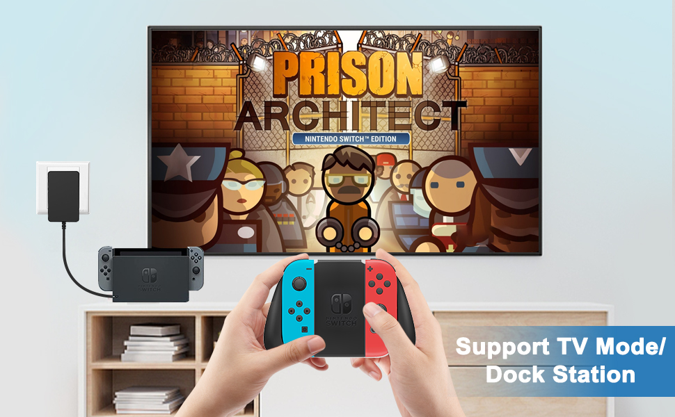 Amazon.com: Charger for Nintendo Switch, MIUOLV 15W Switch Fast Charger ...