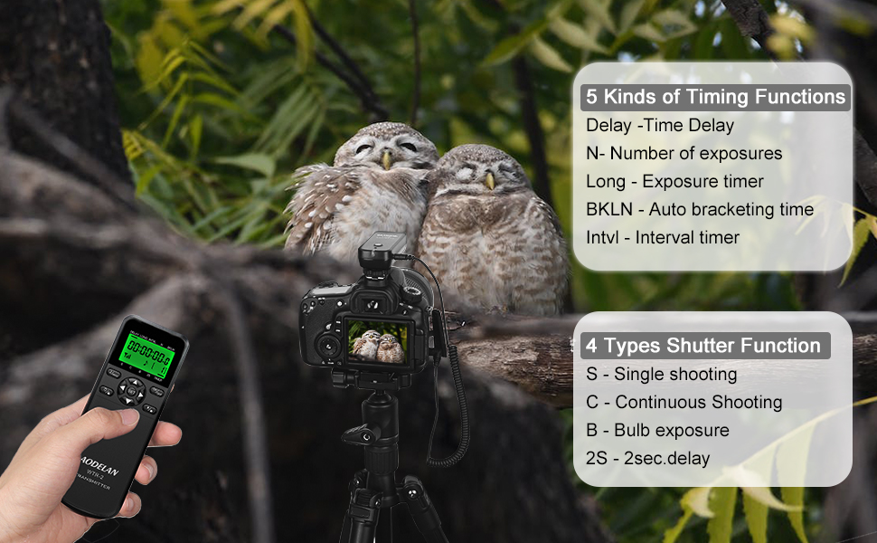 Amazon.com : Wireless Shutter Camera Remote Intervalometer Timer Compatible with Nikon Z7, Z7-II ...