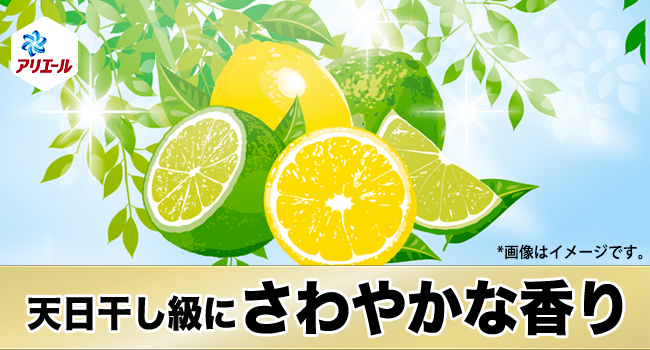 Amazon | アリエール 洗濯洗剤 液体 超抗菌プレミアム 最高傑作の除菌+抗菌 詰め替え 1580g×4袋 [大容量] [ケース品] | アリエール | 液体洗剤