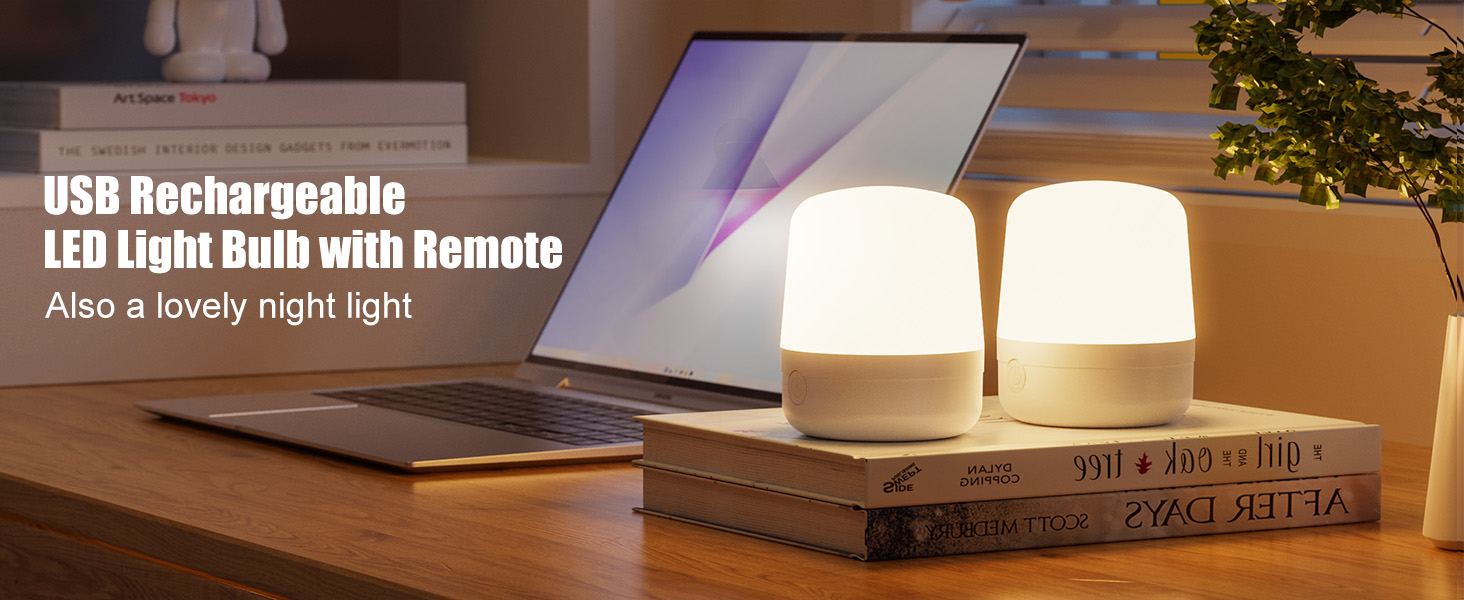 Brightown E26 Rechargeable Light Bulb with Remote and Timer, Battery ...