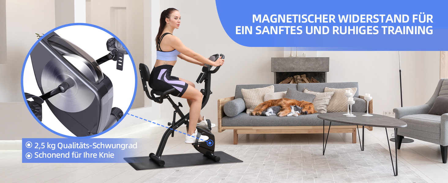 Sportneer Heimtrainer Fahrrad Klappbar – Ergometer Heimtrainer mit 16 Magnetische ...