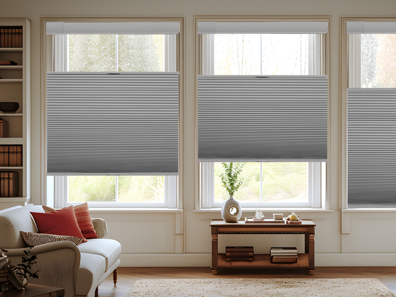 Amazon.com: Tonature No Tools No Drill Top Down Bottom Up Cellular Shades for Windows, 1 ...