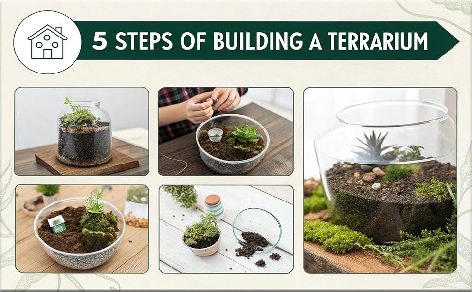 Creating Moss Terrariums: A Beginner’s Guide to Building and Caring for Your Moss Garden (Home ...
