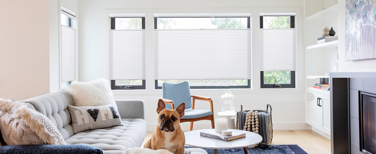 Amazon.com: MiLin Top Down Bottom Up Cordless Cellular Shades No Tools ...