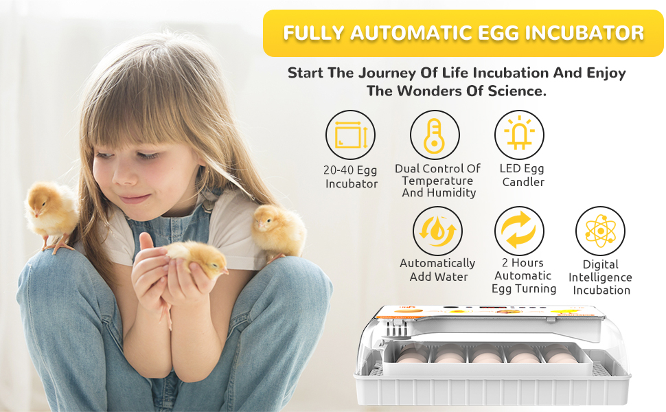 Amazon.com: 20-40 Egg Incubator, 2 in1 Fully Automatic Digital Chicken Incubators for Hatching ...