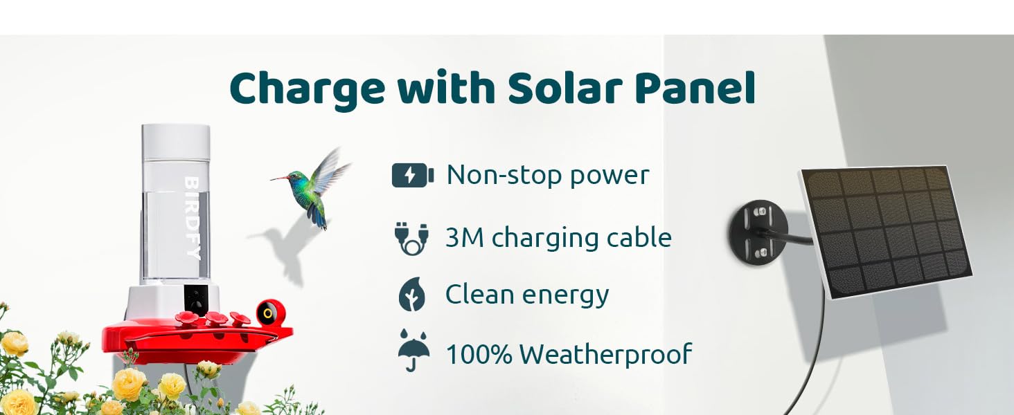 Amazon.com : NETVUE Birdfy Hummingbird Feeder with Camera - 2K Dual Smart Cameras Solar Powered ...