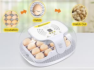 Amazon.com : Sailnovo Egg Incubator for Hatching Chicks, 16-35 Eggs Incubator with Automatic ...