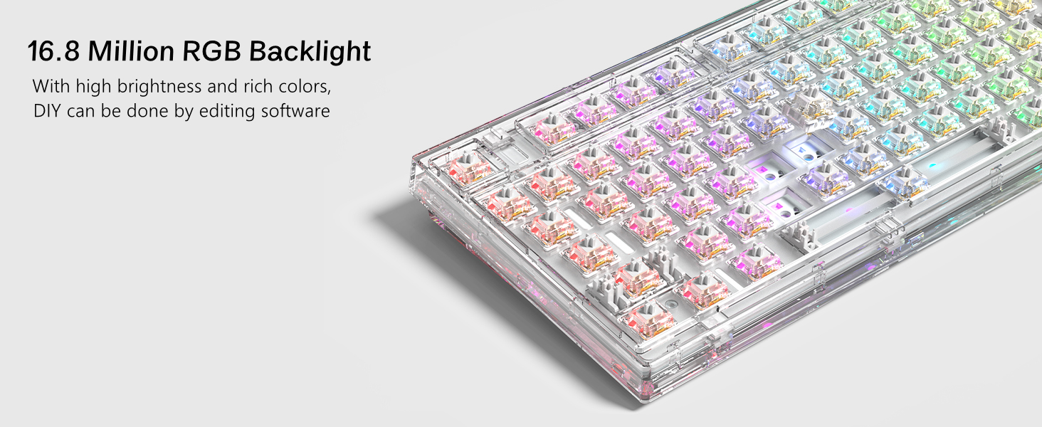 Amazon.com: Womier 75% Custom Keyboard Kit- Gasket Mount Mechanical Gaming Keyboard, K75 82 Keys ...