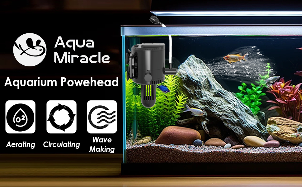 Amazon.com : AquaMiracle Aquarium Powerhead Pump with Double Water Outlet & Aeration, 135GPH ...