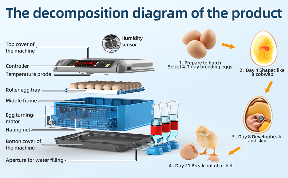 Amazon.com: Incubators for Hatching Eggs - 24 Egg Incubator with Automatic Egg Turning and ...