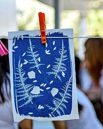 Csyidio Cyanotype Kit Includes 2 Component Sensitizer- Blue/Red, 40 ...