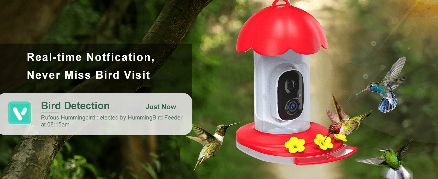 Amazon.com : Smart Hummingbird Feeder with Camera Solar Powered, AI Video Hummingbird Feeder ...