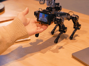 Amazon.com: ELECFREAKS CM4 XGO Robotic Dog V2 Kit for Raspberry Pi with ...