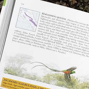 Amazon.com: Birds of Costa Rica (Princeton Field Guides): 9780691203355 ...