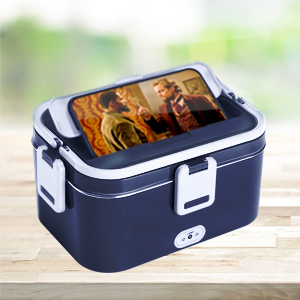 Amazon.com: DUPASU Electric Lunch Box, Food Heated 12V 24V 110V Portable Food Warmer Heater for ...