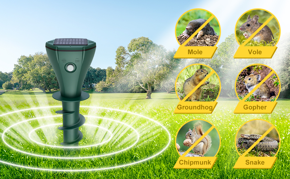 Amazon.com: Mole Repellent Solar Powered, IP65 Waterproof Groundhog Gopher Armadillo Chipmunk ...