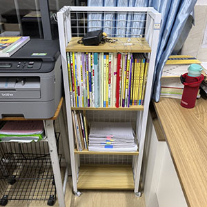 Amazon.co.jp: KoiFlow 本棚 大容量 書類収納ラック 物品棚 頑丈 3段 移動棚 おしゃれ スチール本棚スリム キャスター付き 5段 ファイルラック 間仕切り 組みたて簡単 ...