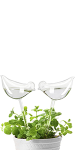 KiKiHeim Plant Watering Bulbs Devices Cute Self Watering Globes, Hand Blown Clear Glass Spikes ...