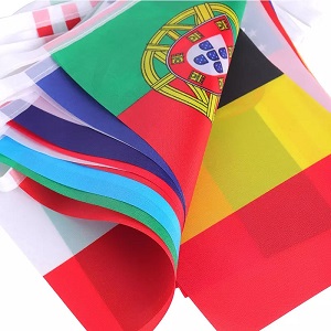 Amazon.com: World Flags,International Flags,100 Countries Pennant ...