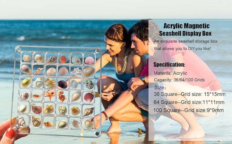 Amazon.com: LICFUDAS Acrylic Magnetic Seashell Display Box, 36/64/100 Grids Clear Acrylic ...