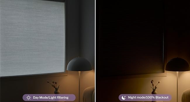 Amazon.com: Graywind Smart Day Night Cellular Shades Compatible with Alexa Google 5/8" Single ...