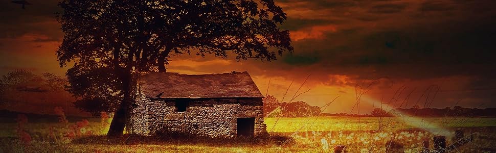 Run From Evil: A British Murder Mystery (The Wild Fens Murder Mystery Series Book 15) eBook ...