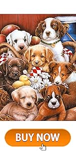 Amazon.com: 500 Piece Puzzles for Adults - The Pet Shop Cute Pets ...
