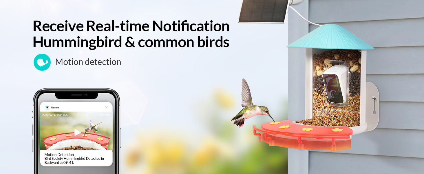 Amazon.com : NETVUE Birdfy Hummee - Smart Hummingbird Feeder with Camera, Auto Capture Bird ...