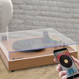 Amazon.com: Vintage Turntable, Bluetooth Record Player, Built-in Dual ...