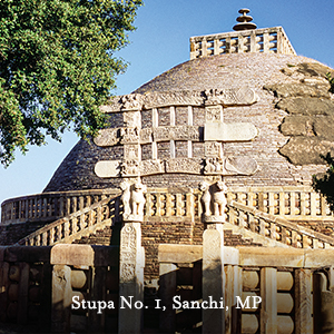 A NEW HISTORY OF INDIA: From Its Origins to the Twenty-First Century eBook : Mukherjee ...