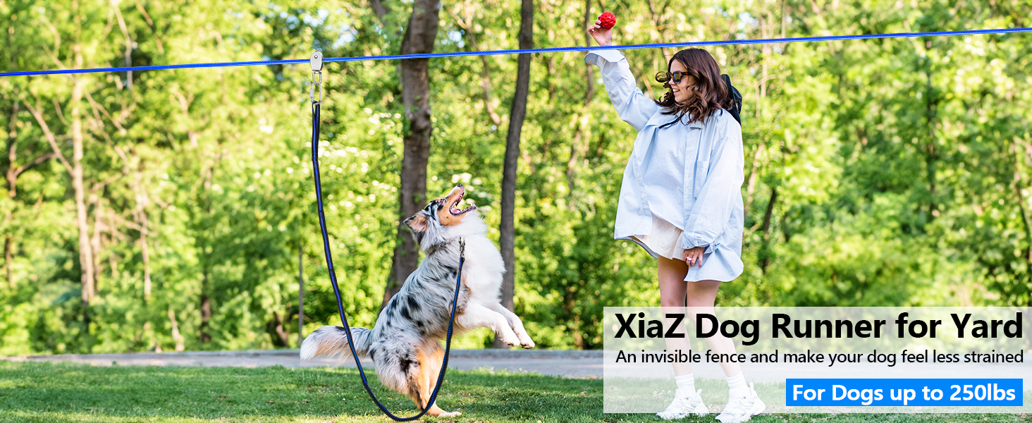 Amazon.com : XiaZ Dog Tie Out Cable, 100ft Dog Trolley Runner Cable for Dogs up to 250lbs, Dog ...