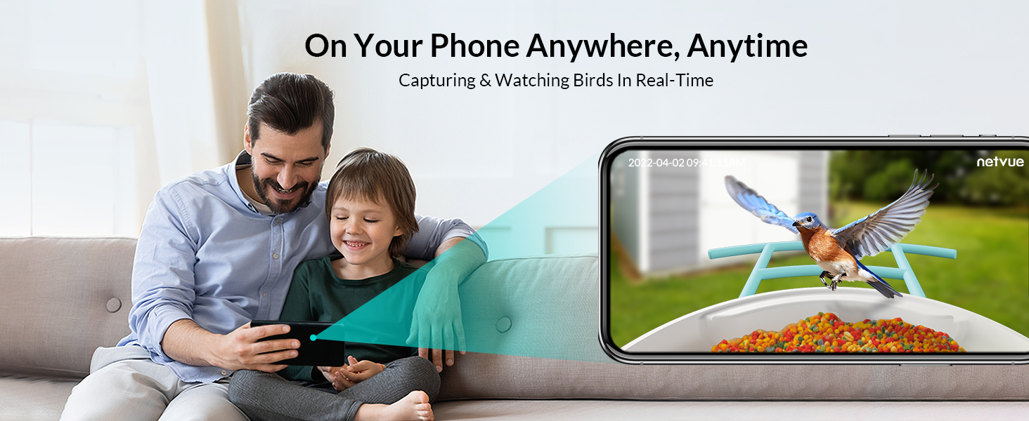 Amazon.com: NETVUE Birdfy Lite- Smart Bird Feeder Camera, Bird Watching Camera Auto Capture Bird ...