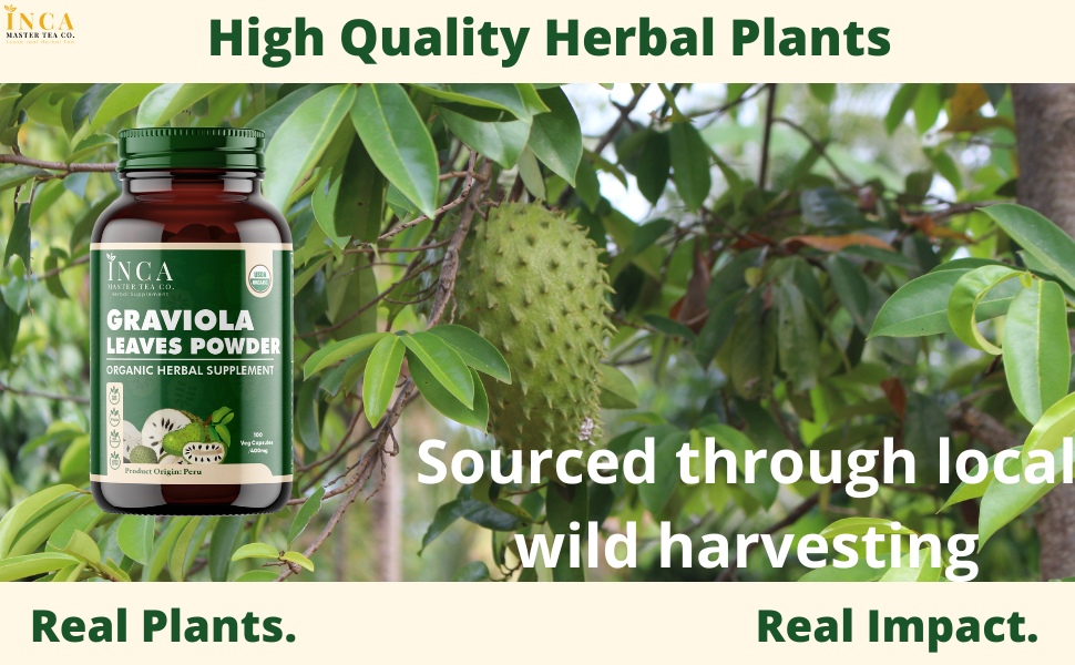 Amazon.com: Inca Master Organic Soursop Capsules - 100% Pure, Natural Guanabana Graviola ...