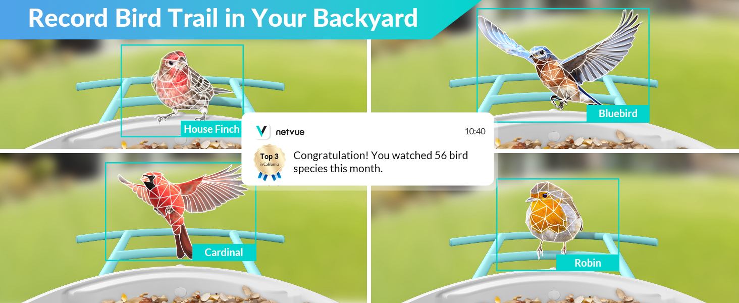 Amazon.com : NETVUE Birdfy AI - Smart Bird Feeder Camera, Bird Watching Camera Auto Capture Bird ...