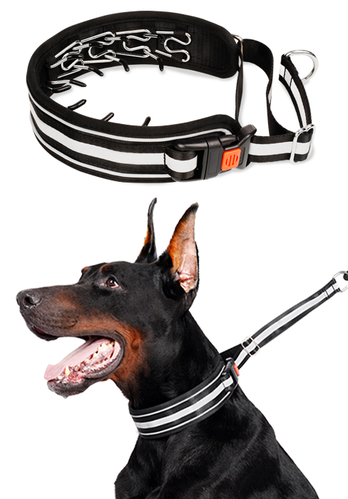 Amazon.com : Mayerzon Patented No Pull Collar for Small Medium Large Dogs Beagle German Shepherd ...