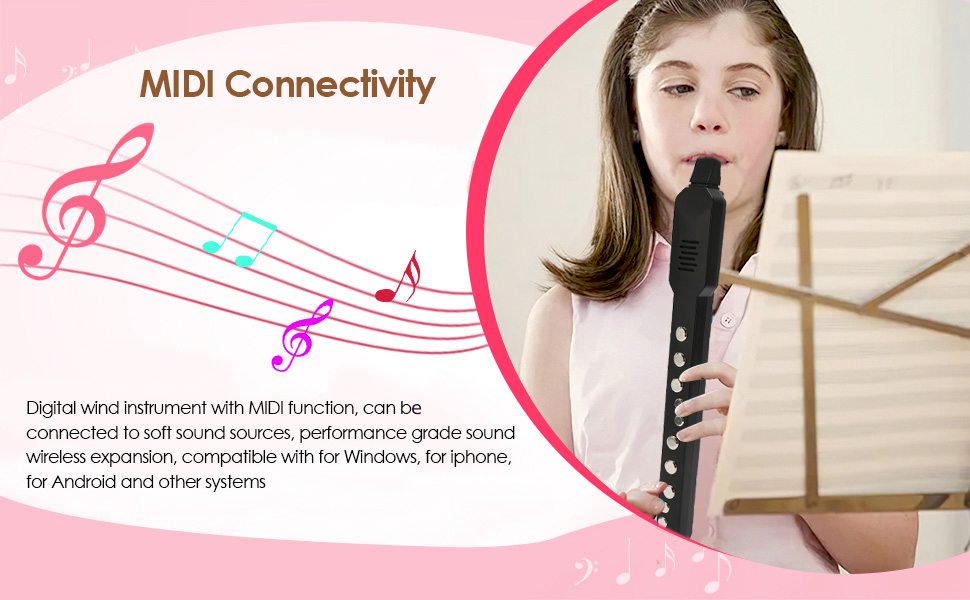 Digital Wind Instrument, MIDI Connectivity 10 Tones Portable Mini ...