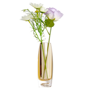 Amazon.co.jp: Vaseed 割れない 花瓶 ポリカーボネート おしゃれ花器 高さ18cm 幅7cm (アンバー) : ホーム＆キッチン