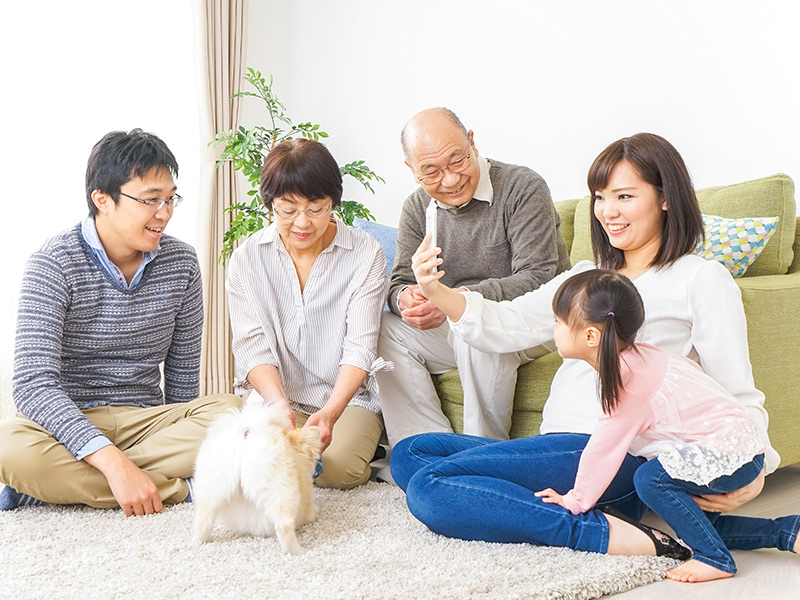 Amazon.co.jp: TOKAIZ TMC-M01 Lite Fitness Bike, Mini Training, Bicycle, No Assembly Required ...