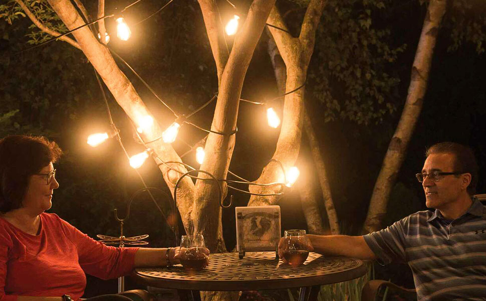 25 Packs ST38 LED Edison Bulbs, 1 Watt Vintage Light Bulbs Equivalent to 7 Watts Incandescant ...