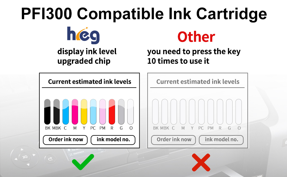 Amazon.com: HEG PFI300 PRO300 Ink Cartridge Replacement for Canon Pixma PRO300 10 Color Printer ...