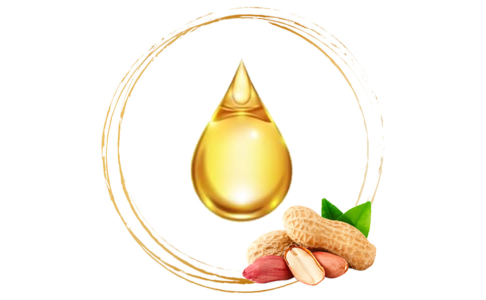 DIPAK GROUNDNUT OIL Groundnut Oil, Pure Oil for Cooking,Healthy Oil, Antioxidant, Cooking Oil ...