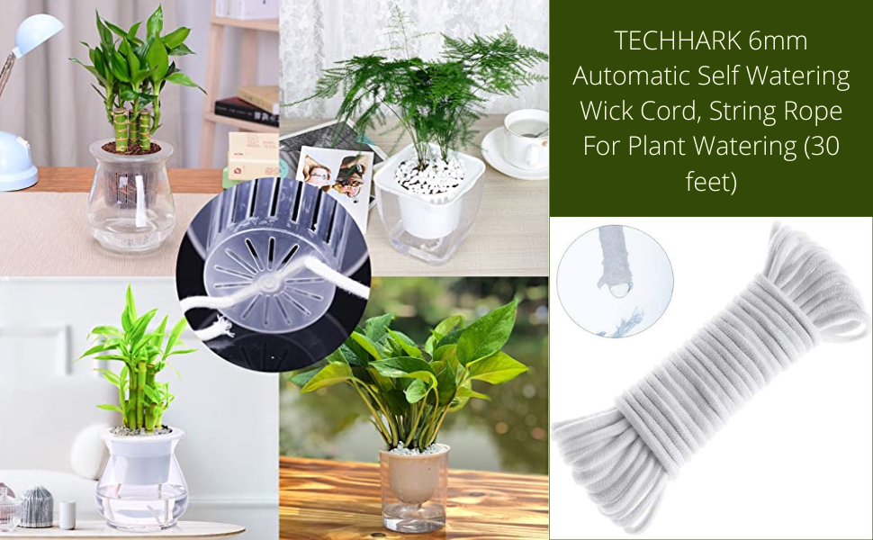 TECHHARK® 4mm Automatic Self Watering Wick Cord, String Rope For Plant Watering (65 Feet ...