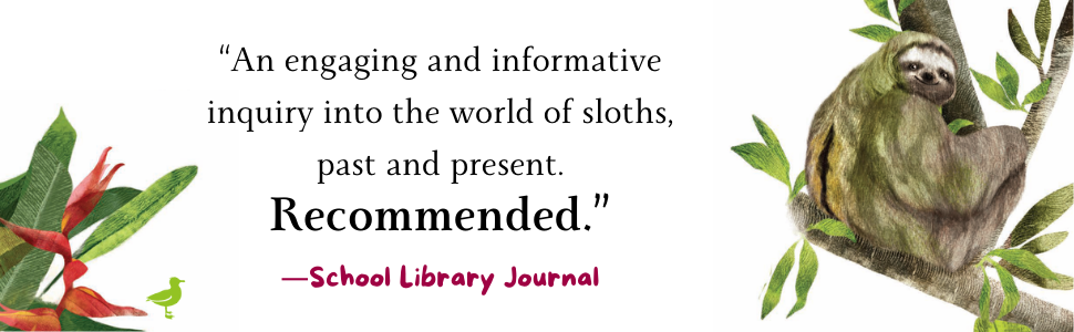 The Upside-Down Book of Sloths: Shreeve, Elizabeth, Grott, Isabella: 9781324015772: Amazon.com ...